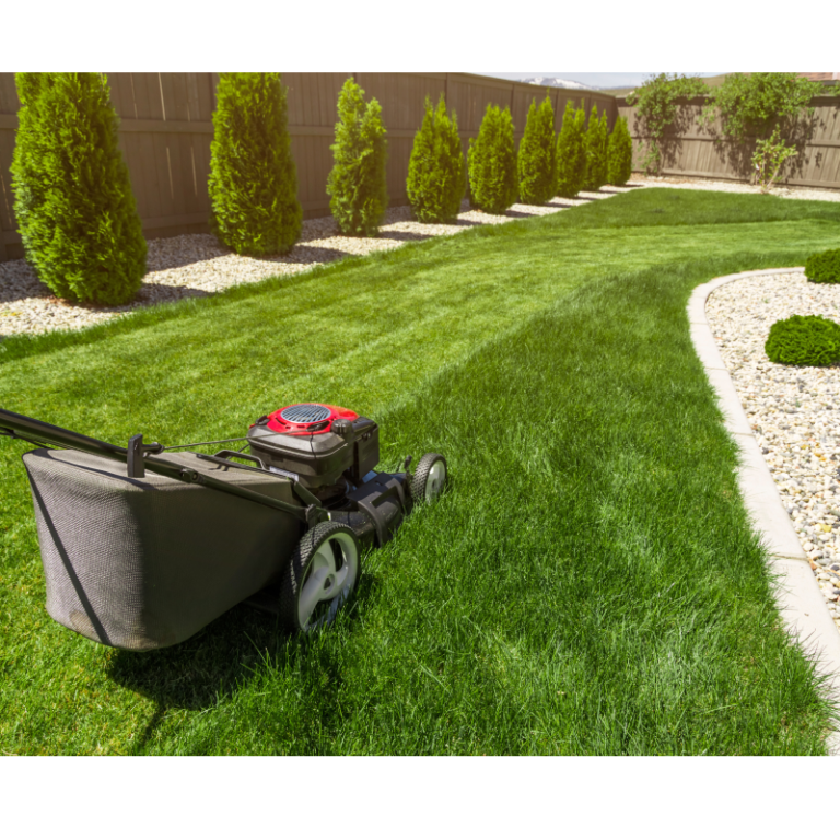 Trawa Barenbrug samozagęszczająca RPR Lawn 15kg - Emeralld